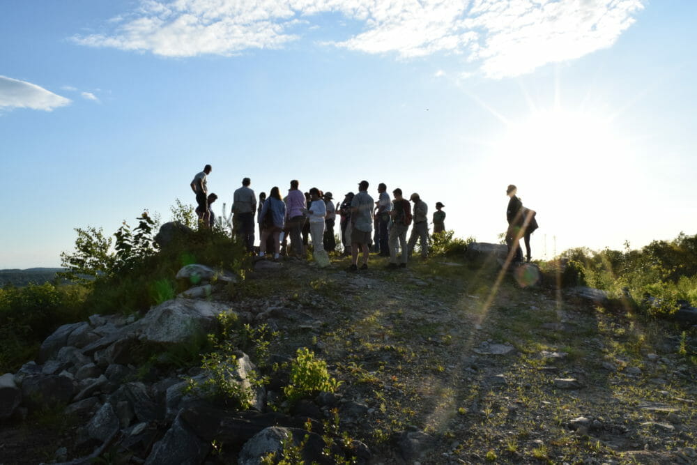 Bull Hill Project – The Wyndham Land Trust