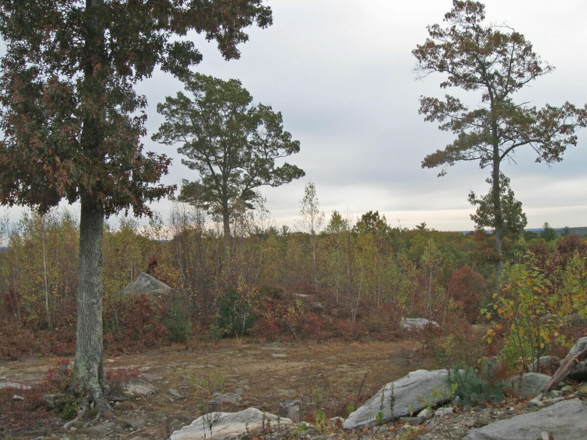 Bull Hill Project – The Wyndham Land Trust